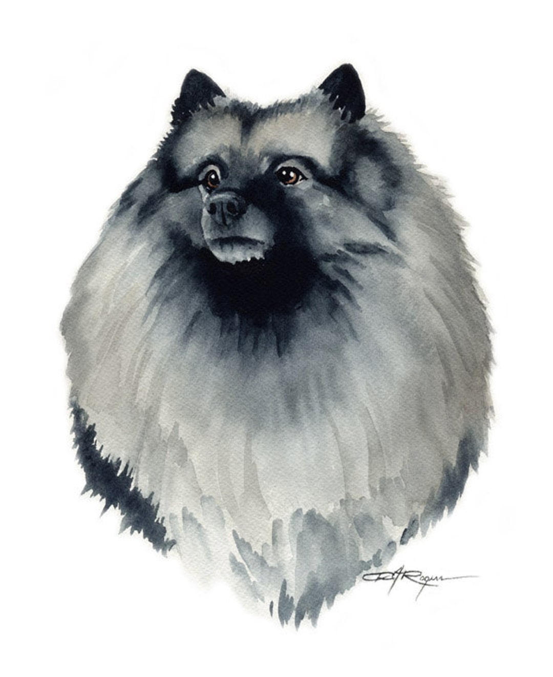 KEESHOND Art Print by Watercolor Artist DJ Rogers - Etsy