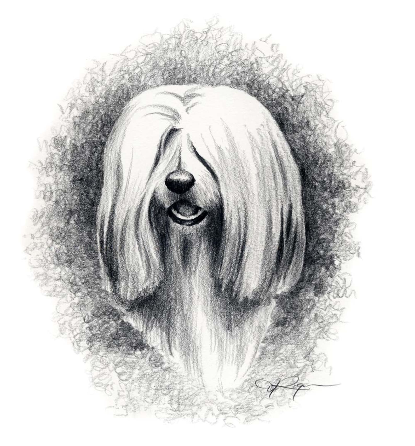 TIBETAN TERRIER Dog Pencil Drawing Art Print by Artist DJ | Etsy