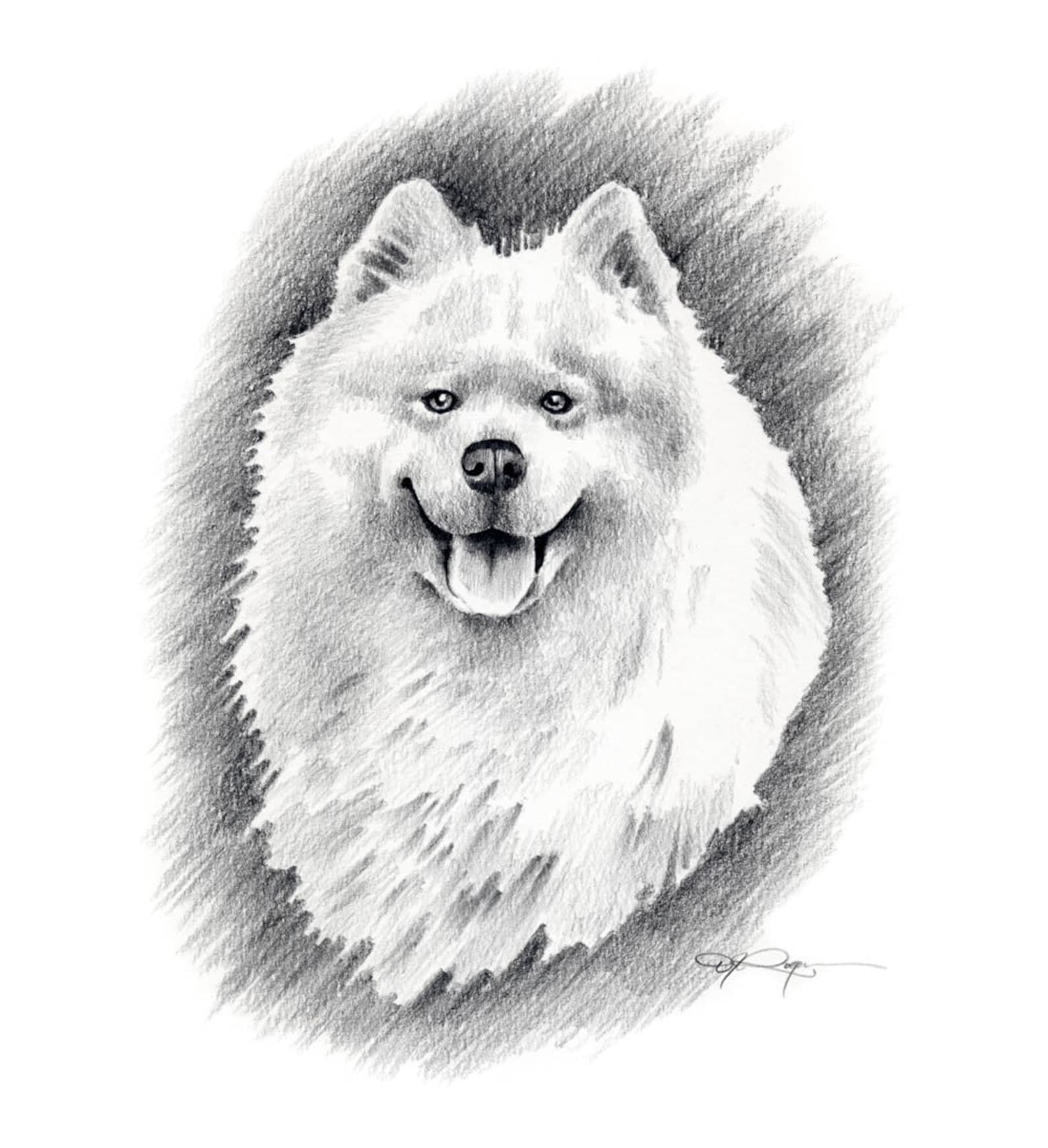 SAMOYED Dog Pencil Drawing ART Print dell'artista DJ - Etsy Italia