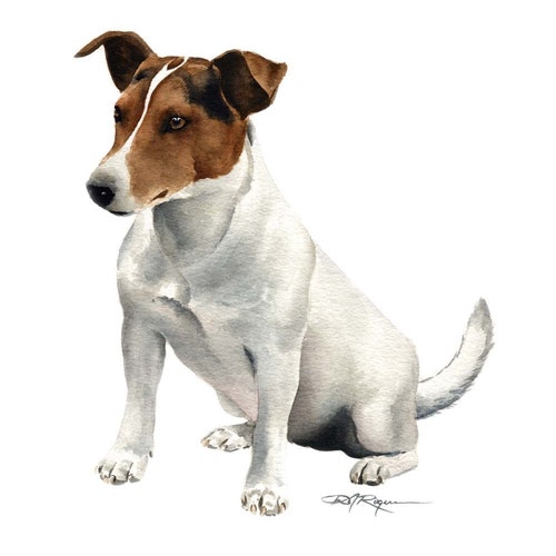 JACK RUSSELL TERRIER Dog Art Print by Artist D J Rogers - Etsy