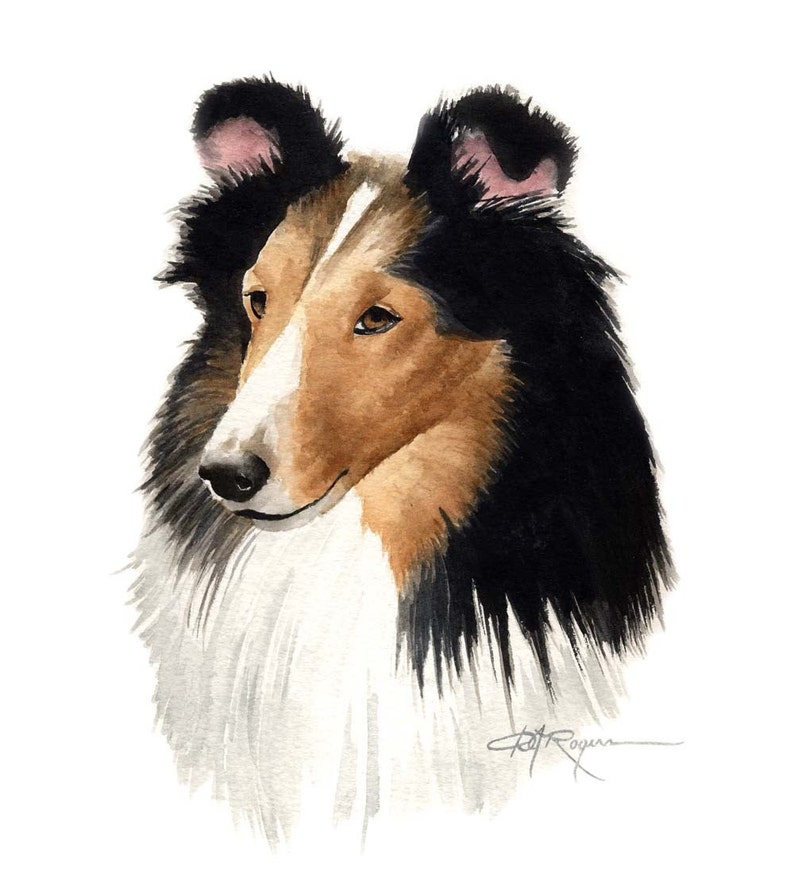 Sheltie Art Print Shetland Sheepdog Watercolor by Artist DJ | Etsy