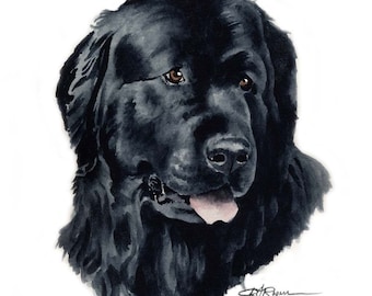 NEWFOUNDLAND Dog Pencil Drawing ART Print by Artist DJ Rogers | Etsy
