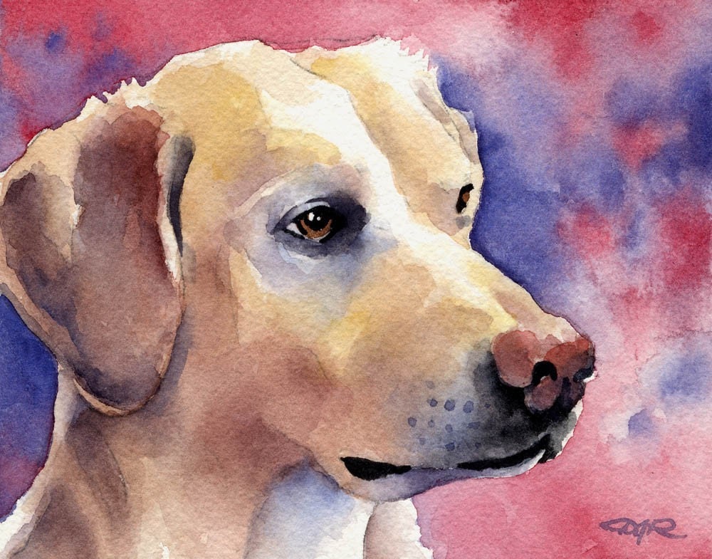 LABRADOR RETRIEVER Art Print by Artist DJ Rogers | Etsy