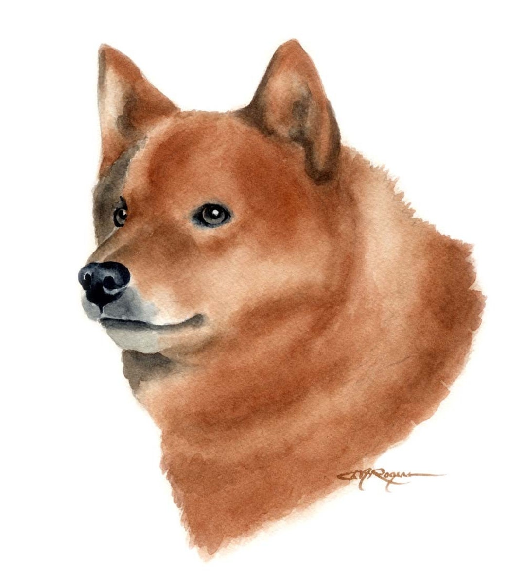 FINNISH SPITZ Dog Art Print by Artist DJ Rogers - Etsy