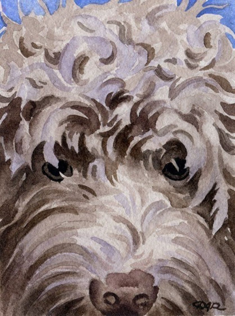 LABRADOODLE Dog Art Print by Watercolor Artist DJ Rogers | Etsy