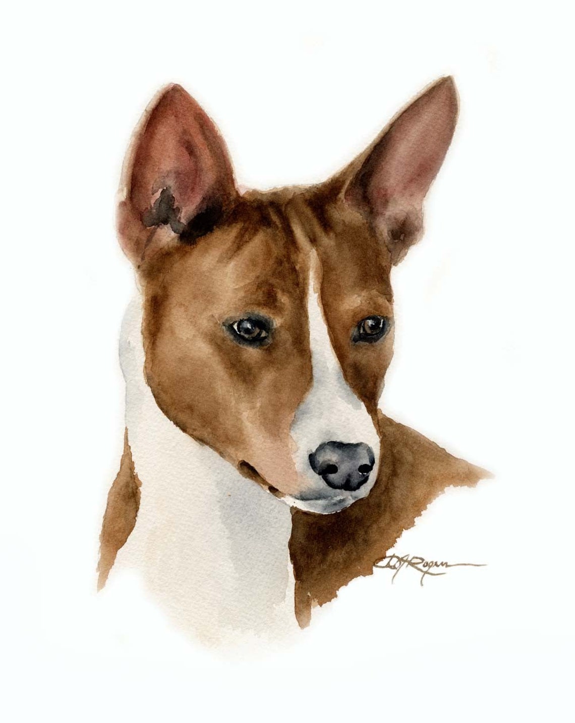 Basenji Art Print by Watercolor Artist DJ Rogers - Etsy