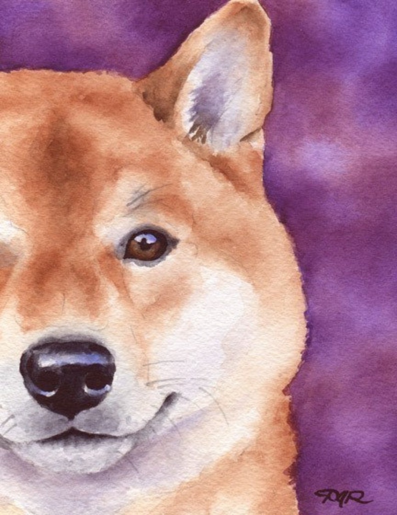 SHIBA INU Art Print by Watercolor Artist DJ Rogers - Etsy
