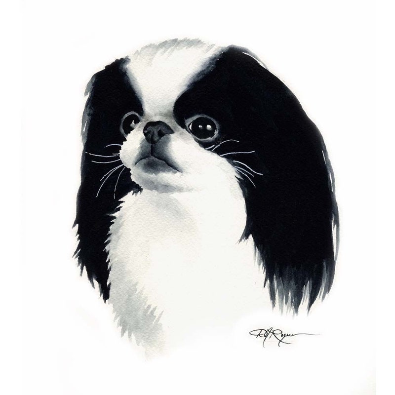 Japanese Chin - Etsy