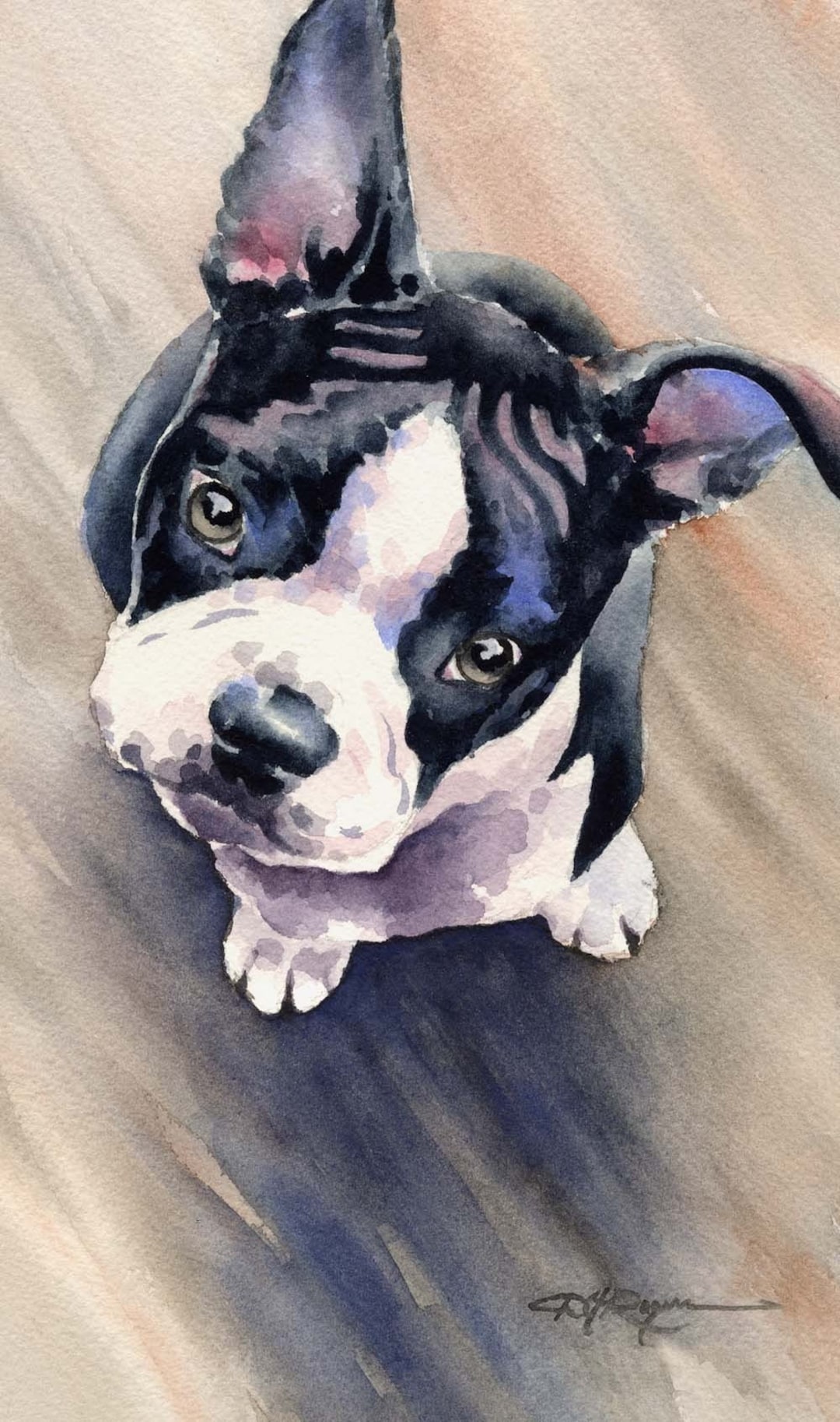 BOSTON TERRIER PUPPY Art Print by Watercolor Artist D J Rogers - Etsy