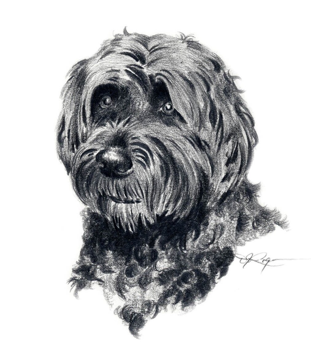 PORTUGESE WATER DOG Dog Pencil Drawing Art Print by Artist D J - Etsy