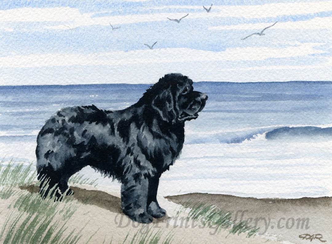 Newfoundland Art Print "newfoundland at the Beach" by Watercolor Artist ...