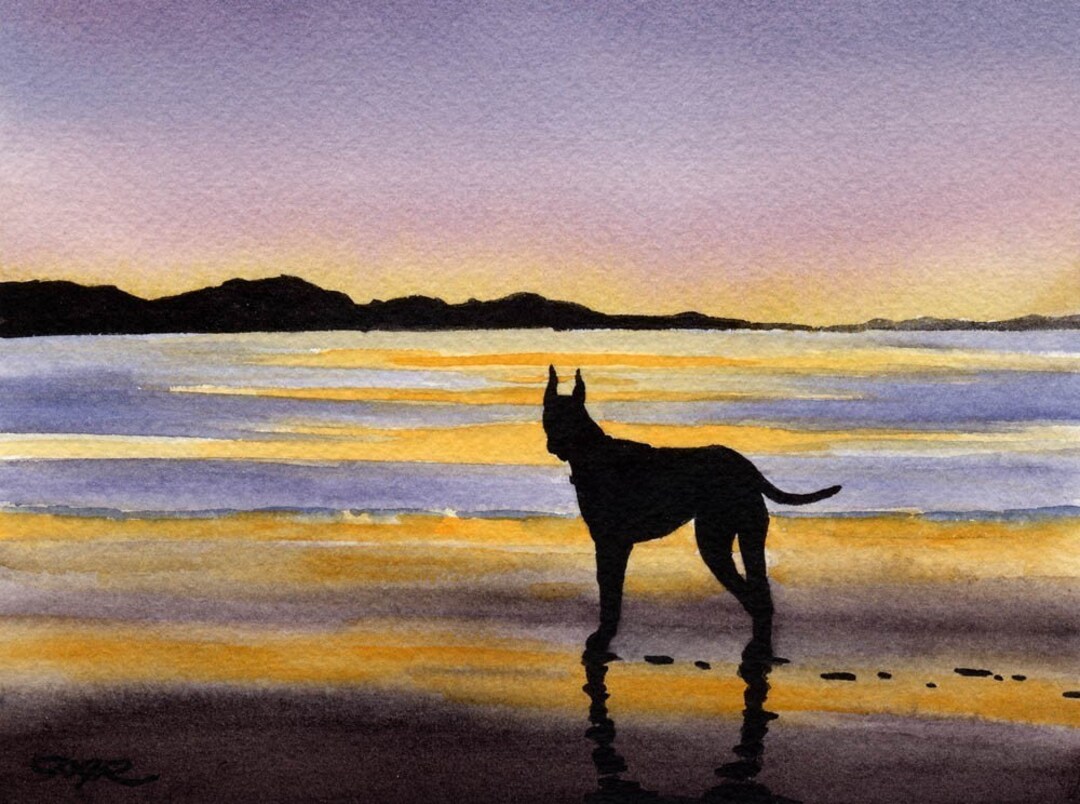 GREAT DANE Art Print by Artist DJ Rogers - Etsy