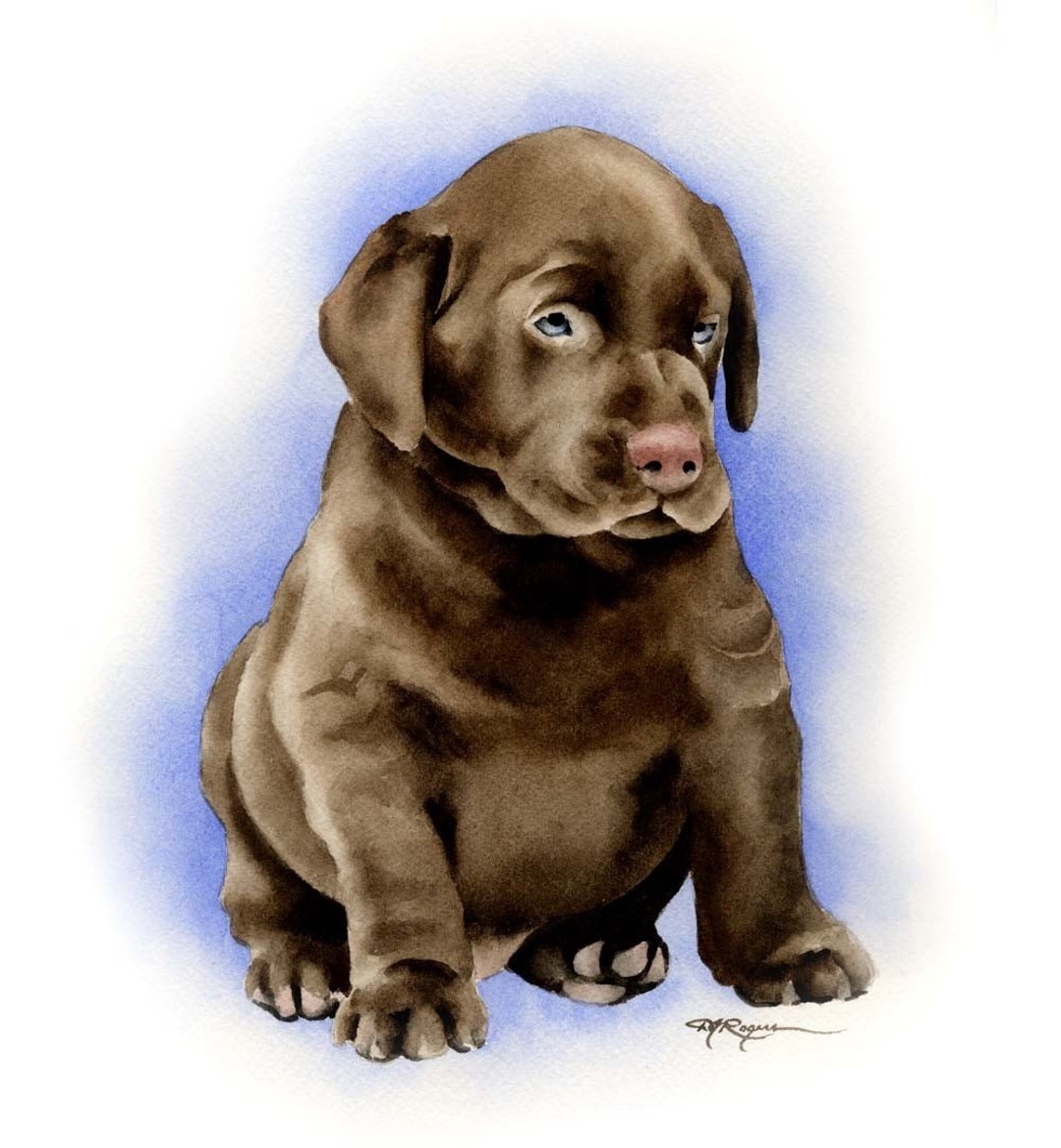 Chocolate Lab Puppy Labrador Retriever Art Print by Watercolor Artist ...