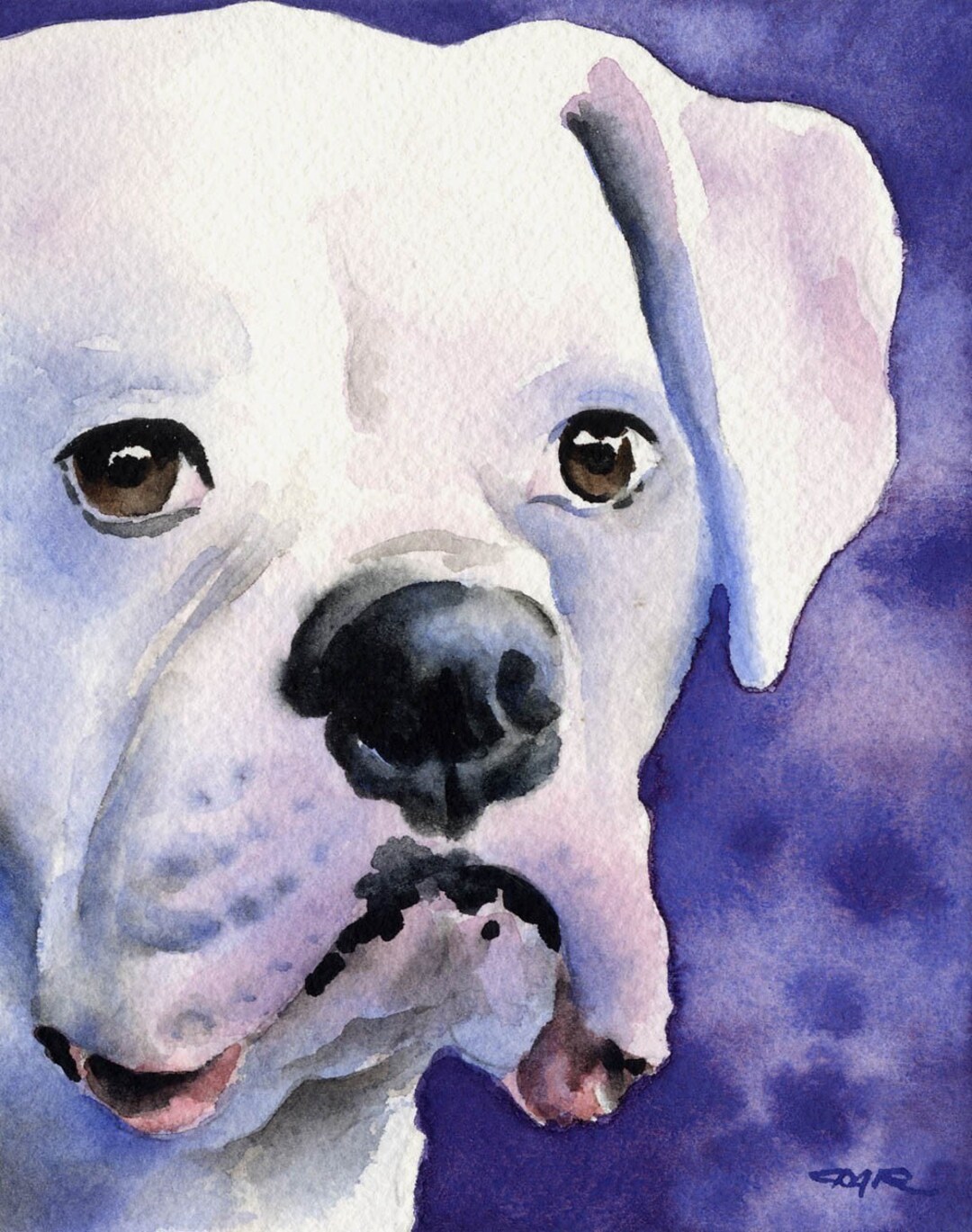 WHITE BOXER Art Print by Watercolor Artist DJ Rogers - Etsy