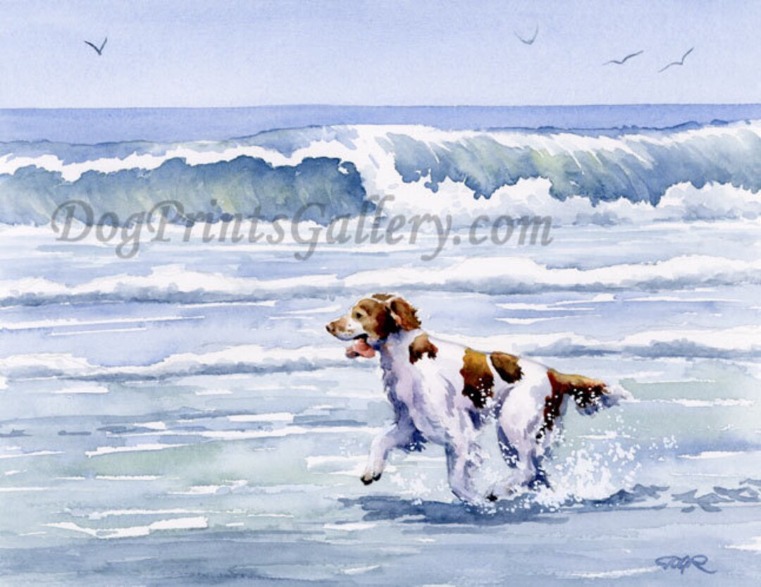 Brittany Spaniel at the Beach Art Print by Artist DJ Rogers - Etsy