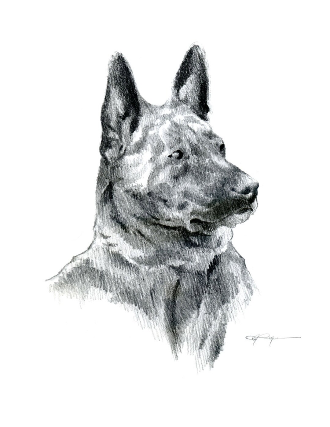 DUTCH SHEPHERD Dog Art Print by Artist DJ Rogers - Etsy
