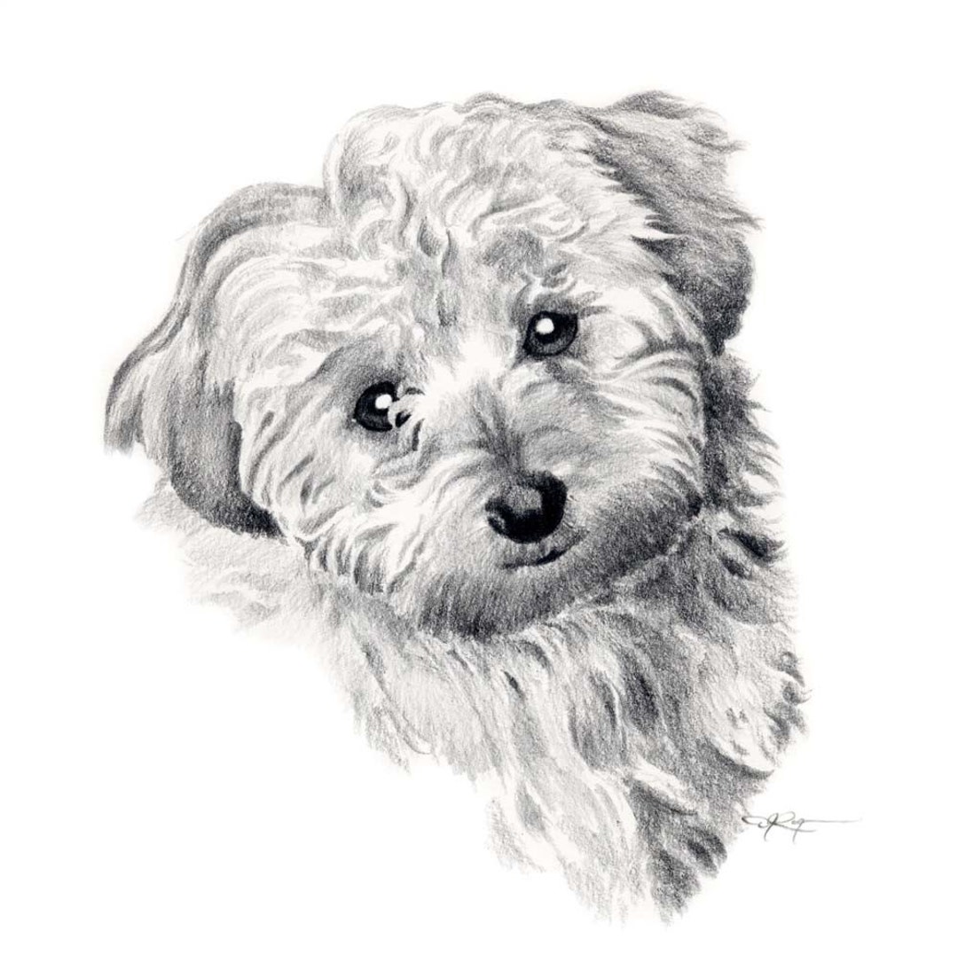 COCKAPOO Dog Art Print by Artist DJ Rogers - Etsy