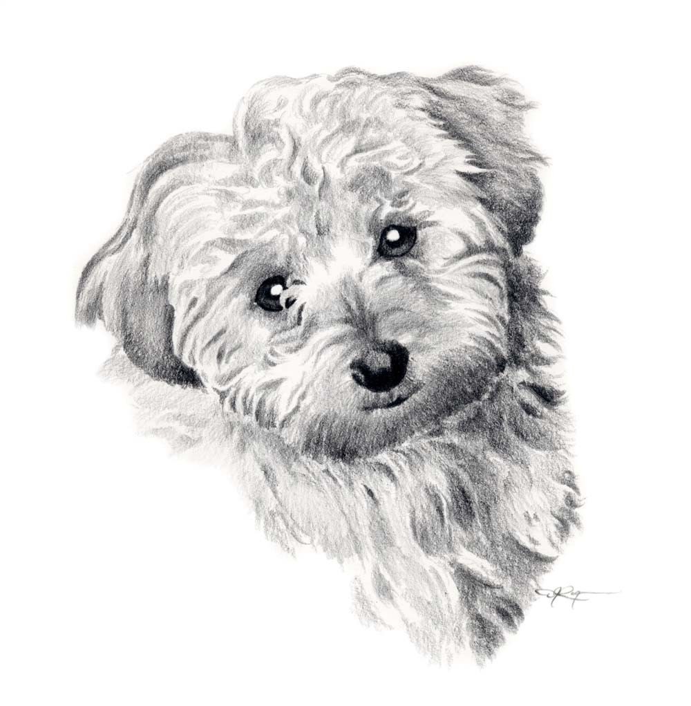 COCKAPOO Dog Art Print por el artista DJ Rogers - Etsy España