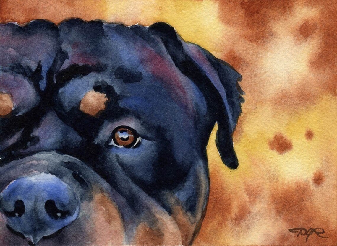 ROTTWEILER Art Print by Watercolor Artist DJ Rogers | Etsy