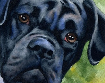 WHITE BOXER Art Print by Watercolor Artist DJ Rogers | Etsy