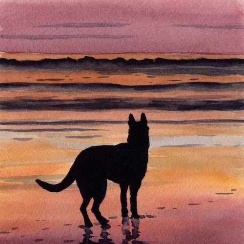 BLACK GERMAN SHEPHERD Art Print by Artist D J Rogers - Etsy