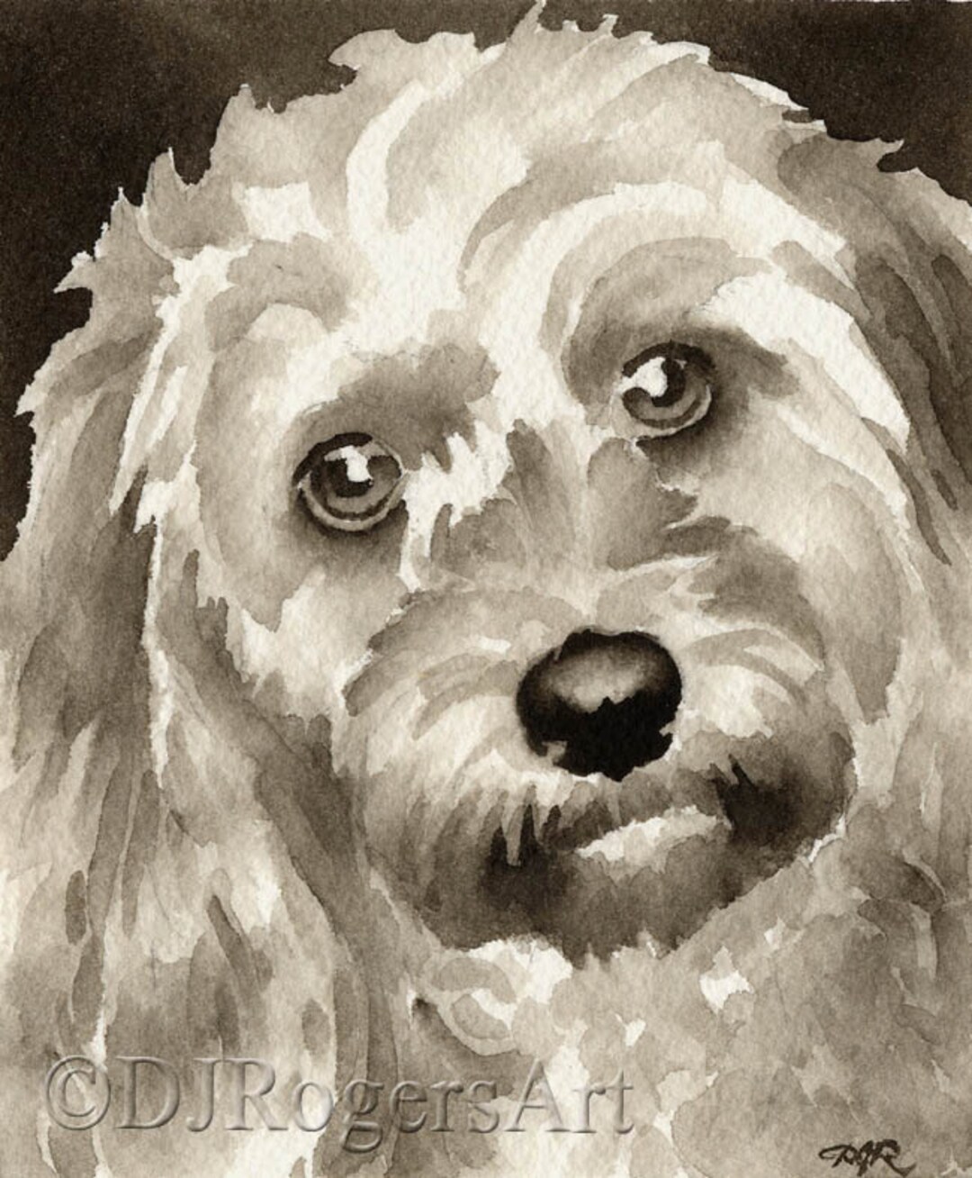 COCKAPOO Sepia Art Print by Watercolor Artist DJ Rogers - Etsy