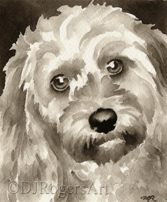 COCKAPOO Sepia Art Print by Watercolor Artist DJ Rogers | Etsy