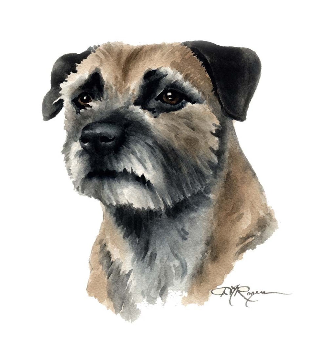 BORDER TERRIER Dog Art Print by Watercolor Artist DJ Rogers - Etsy