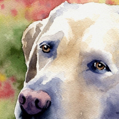 LABRADOR RETRIEVER Art Print by Artist DJ Rogers - Etsy