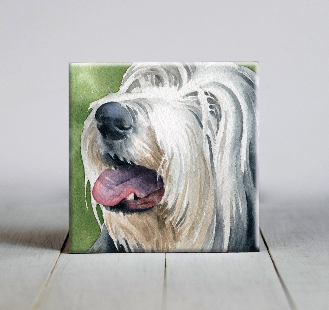 Bearded Collie Ceramic Tile - Bearded Collie Decorative Tile - Dog ...