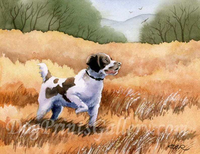Brittany Spaniel Art Print by Watercolor Artist DJ Rogers - Etsy