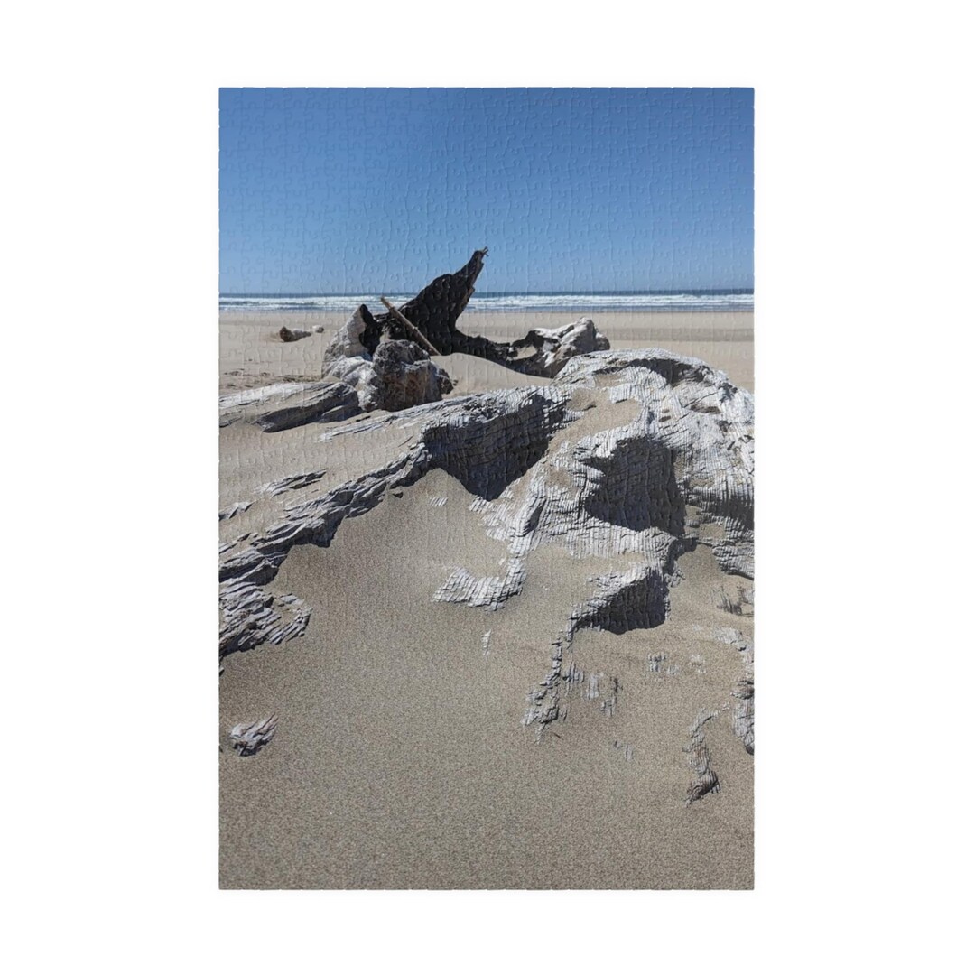 Stump at Umpqua, Umpqua Lighthouse Beach Series - Etsy