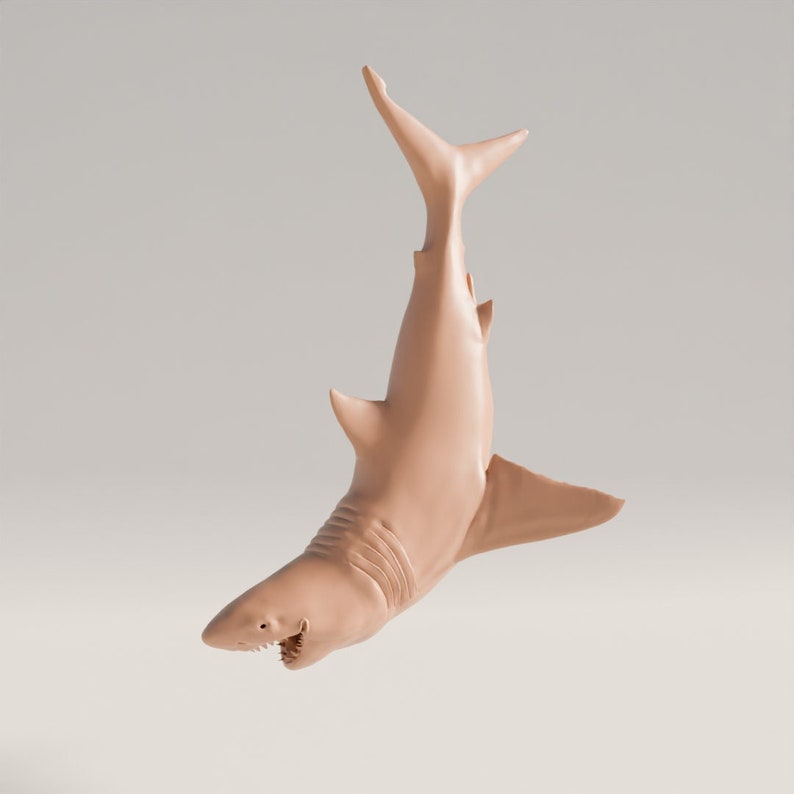 Shark 3d Stl Model 3D Printable File - Etsy