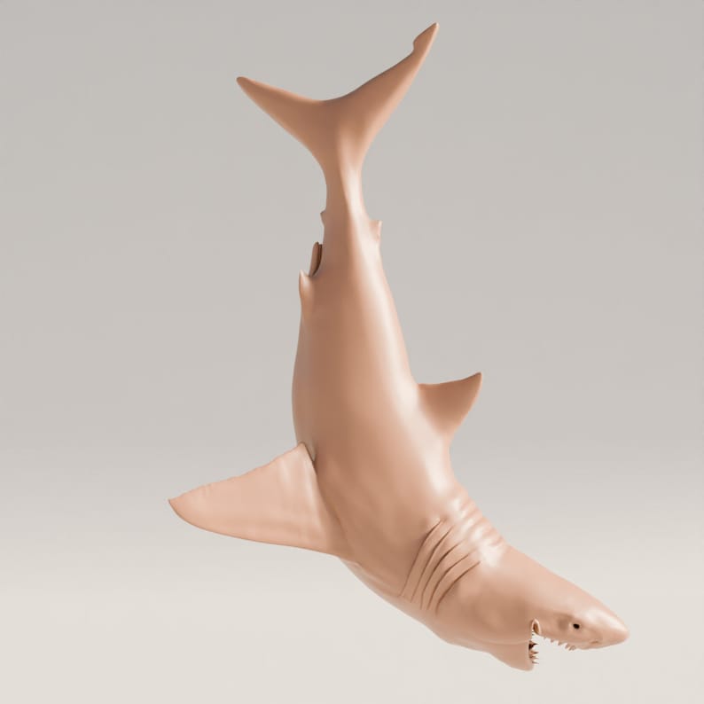 Shark 3d Stl Model 3D Printable File - Etsy