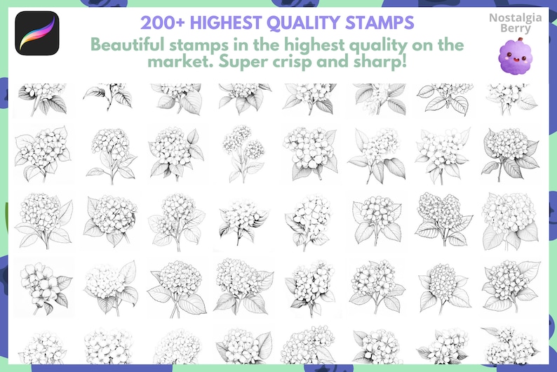 Procreate Stamps: Hydrangea Flower Stamp Pack, Over 200 Elegant Floral ...