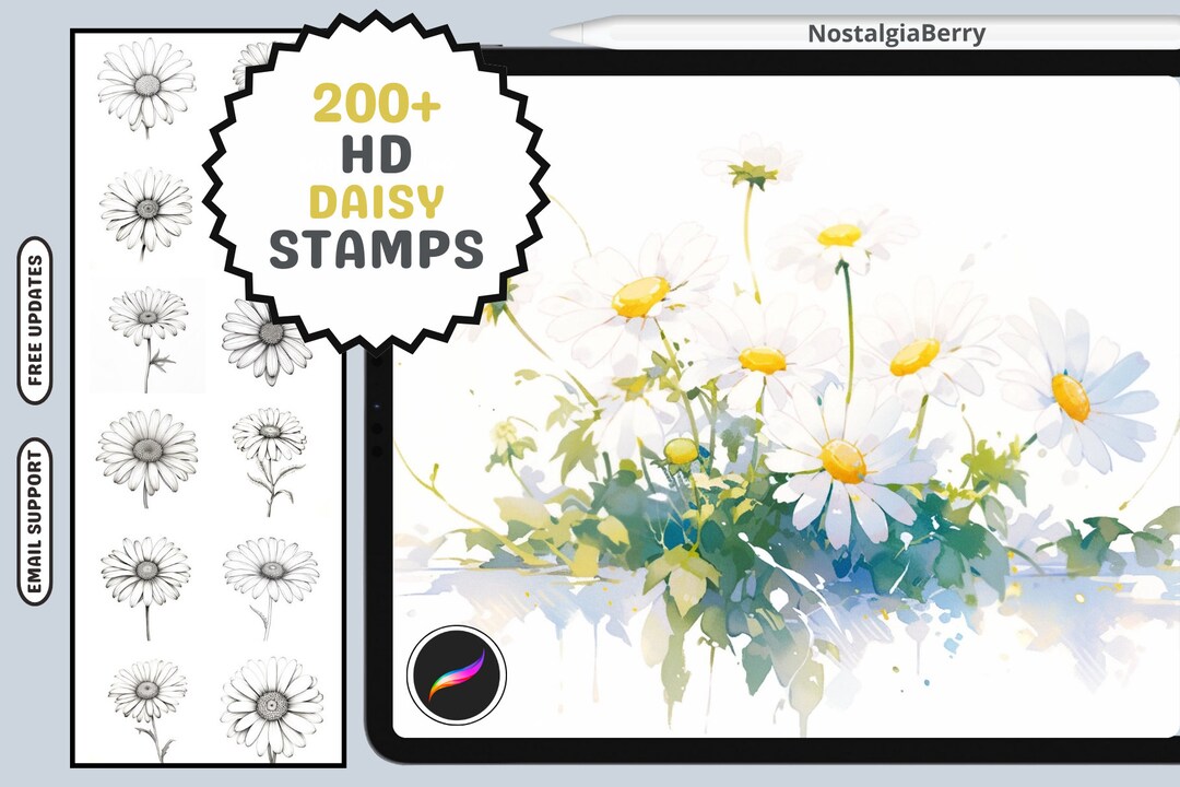 Procreate Stamps: Daisy Flower Stamp Pack, Over 200 Beautiful Floral ...