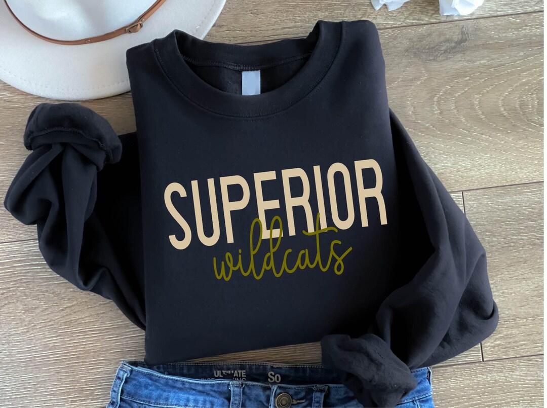 Custom School Sweatshirt, School Logo Shirt, Personalized School Shirt ...