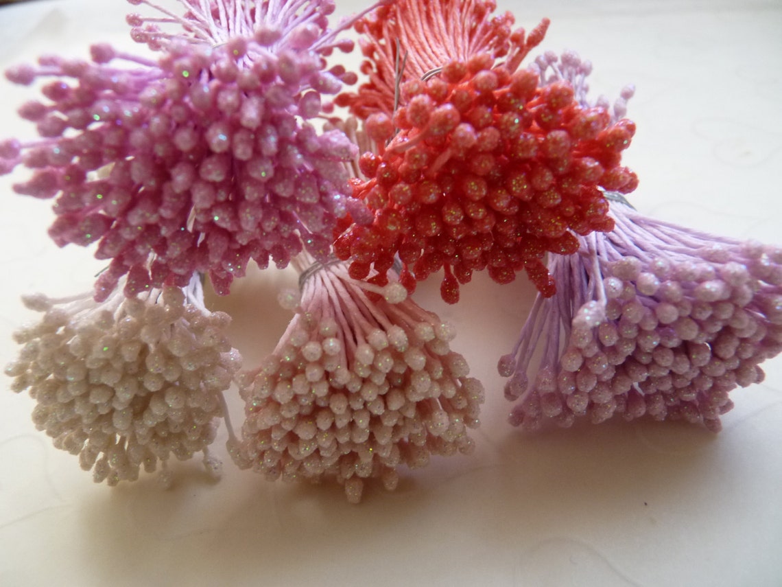 One Bundle of Floral Stamen With Double Sided Matte Sparkling - Etsy