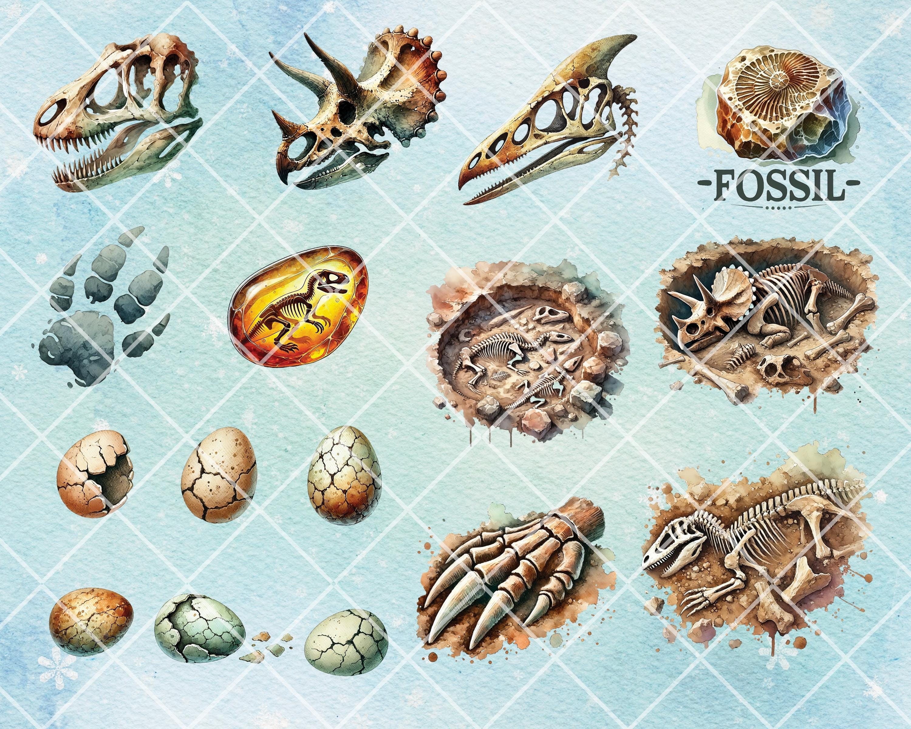 Dino Dig Site Watercolor Clipart Bundle, Dinosaur Fossil PNG (digital ...