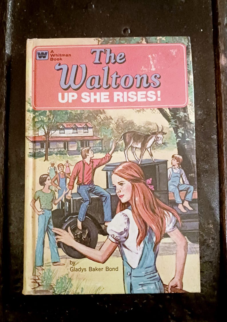 The Waltons, Set of 2 Vintage Books, the Accident by Virginia Mcdonnell, up She Rises by Gladys ...