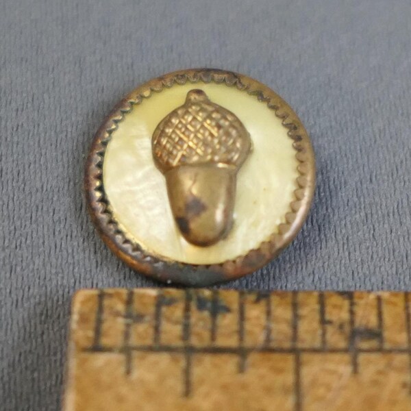 Acorn Button - Etsy