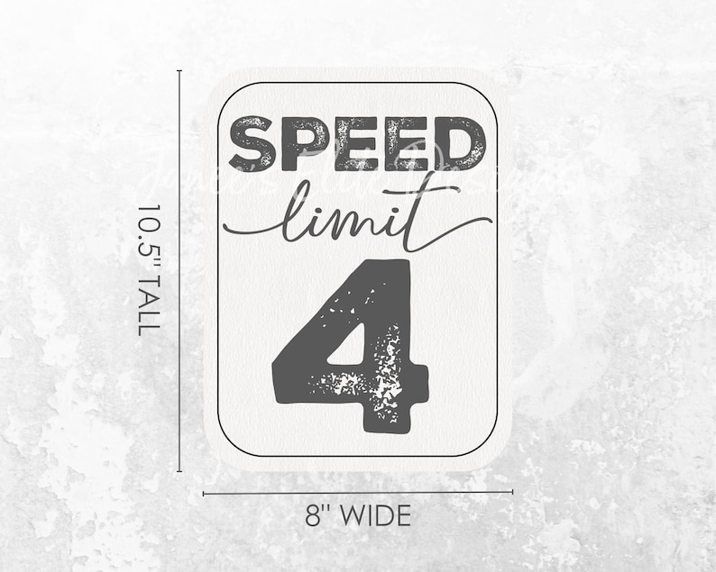Need Four Speed Birthday, Race Car Party, Vintage Race Car Birthday ...