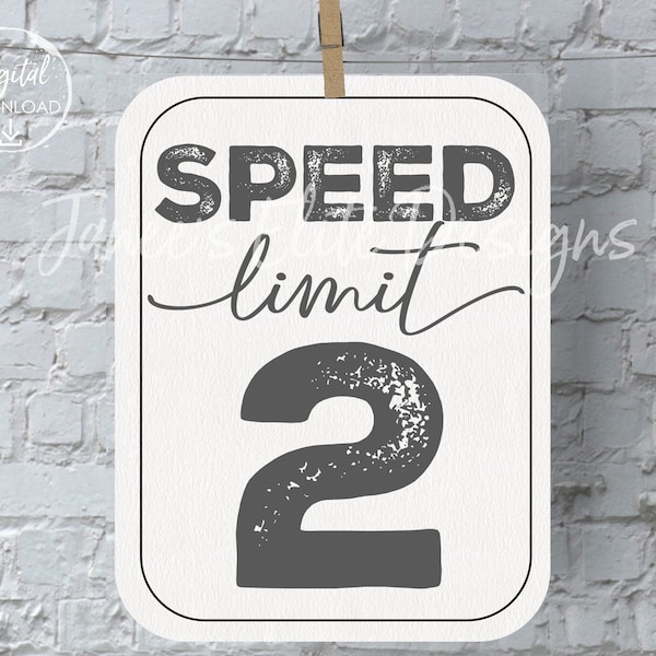 Two Fast Birthday - Etsy