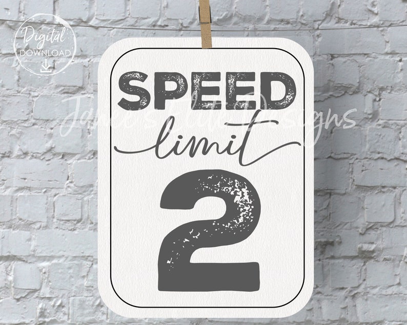 Speed Limit 2 Sign Two Fast Birthday Sign 2 Fast 2 Curious - Etsy