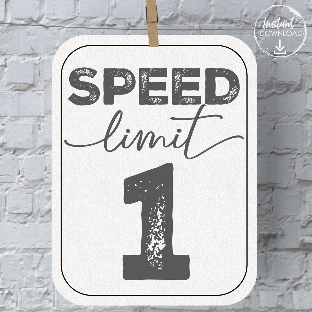 Speed Limit 1 Sign, Fast One Birthday Decorations, Race Car Birthday ...