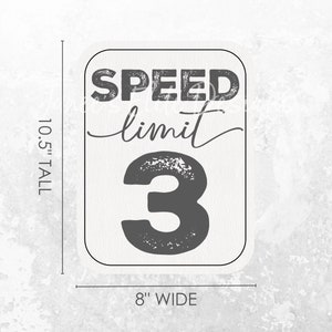 Speed Limit 3 Sign, Race Car 3rd Birthday, Cant Catch Me Im Three, Fast ...