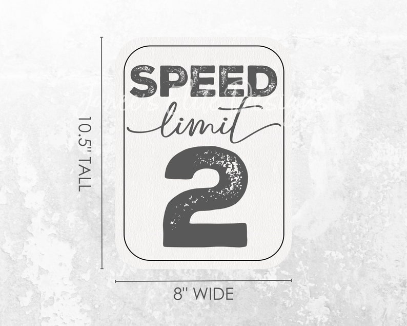 Speed Limit 2 Sign Two Fast Birthday Sign 2 Fast 2 Curious - Etsy