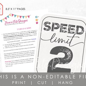 Speed Limit 2 Sign, Two Fast Birthday Sign, 2 Fast 2 Curious, Race Car ...