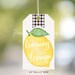 Teacher Appreciation Printable Tags Easy Peasy Lemon Squeezy - Etsy
