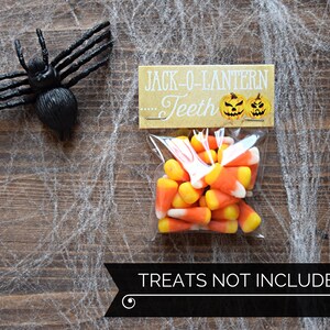 Halloween Party Favors, Treat Bag Toppers, Halloween Party Decor, Ghost ...